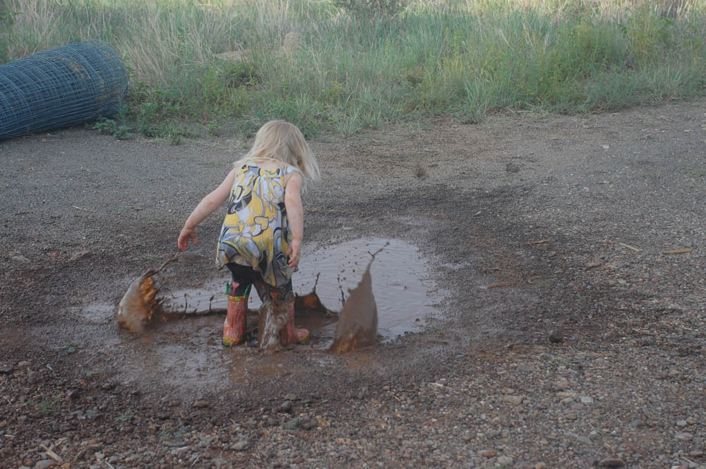 Breaking Drought, a three year old's first mud puddle - Alpine ...