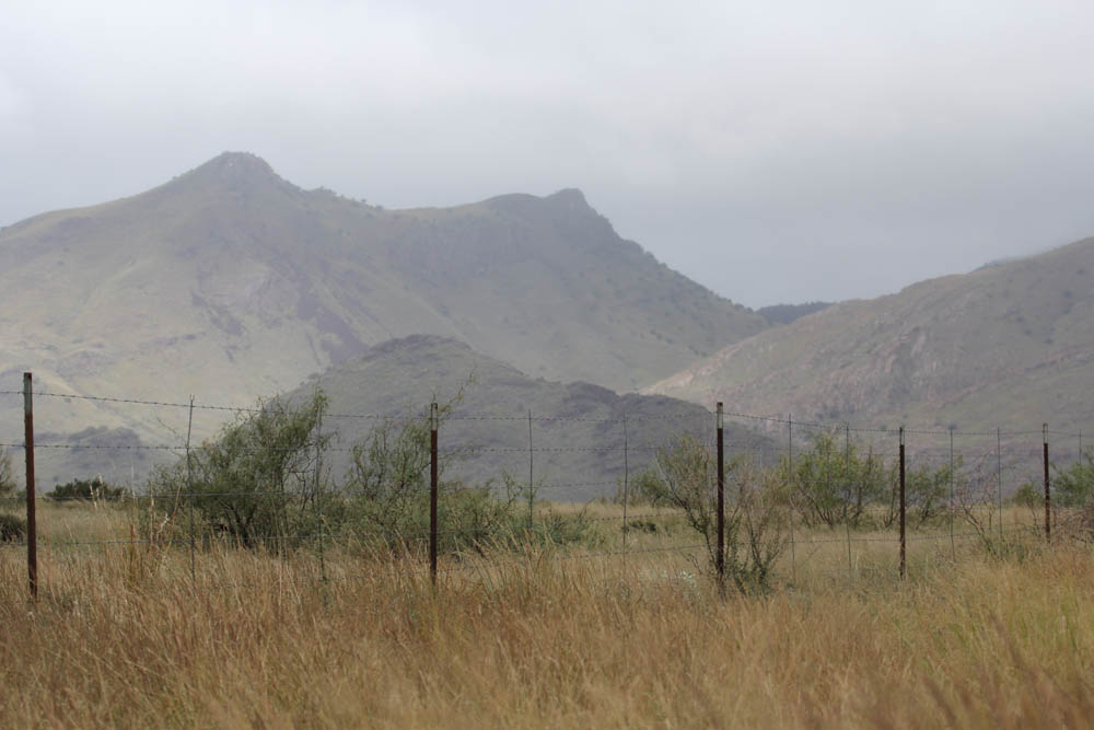 Alpine Beauty | Alpine, Texas