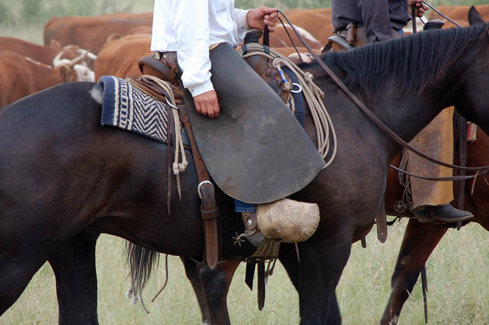 Tapadero - Alpine, TexasAlpine, Texas