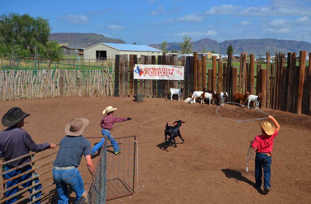 Goat Roping - Alpine, TexasAlpine, Texas