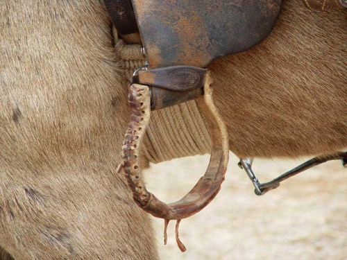 Ox Bow - Alpine, TexasAlpine, Texas