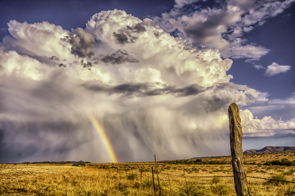 2014 Henry Charles Trost Memorial Award ($100) - Alpine, TexasAlpine, Texas