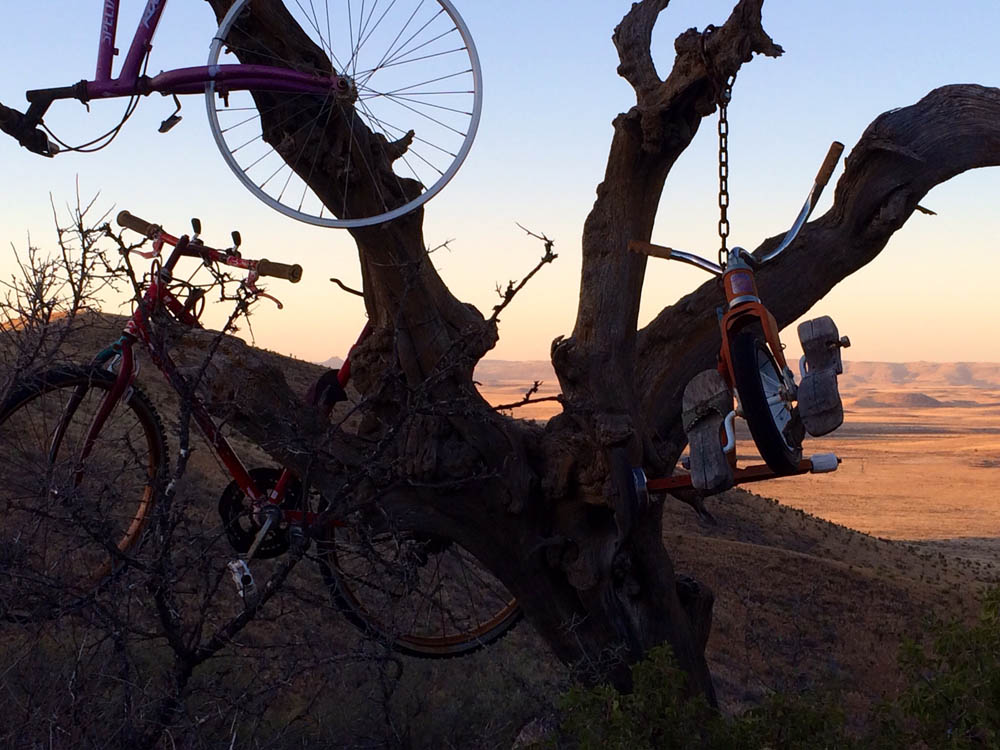 Famous Bicycle Tree - Alpine, TexasAlpine, Texas