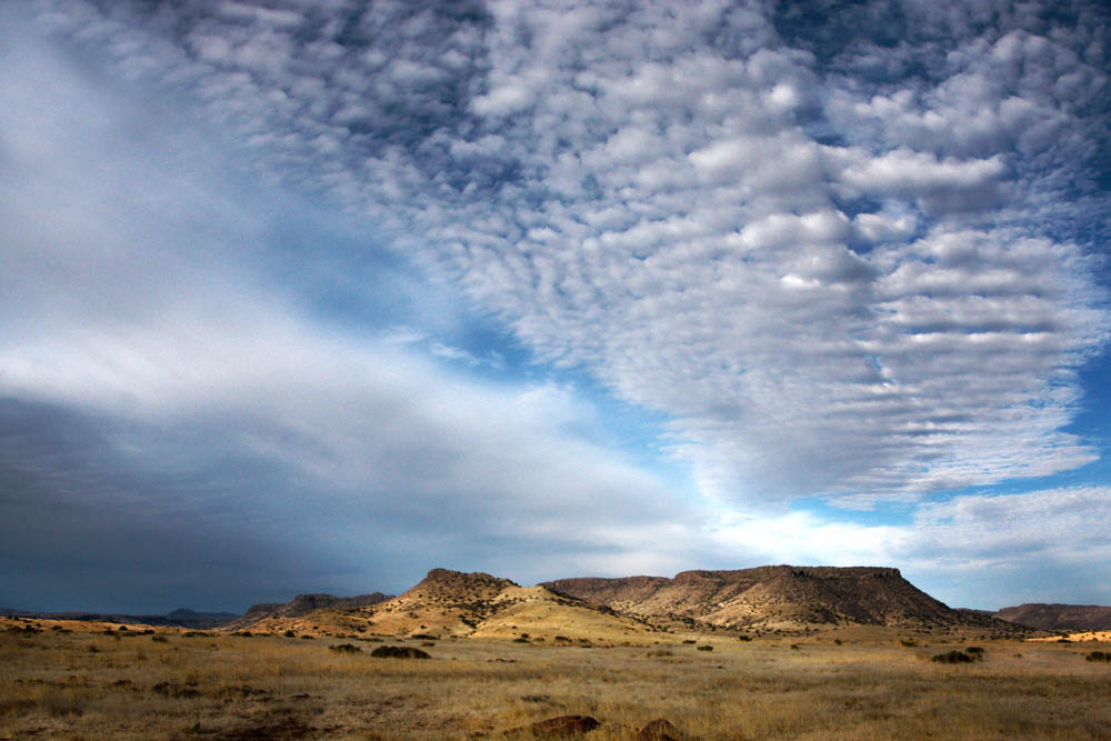 Alpine Beauty - Alpine, TexasAlpine, Texas