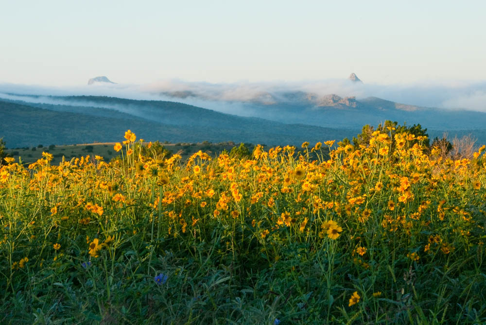 Greeting the Sun - Alpine, TexasAlpine, Texas