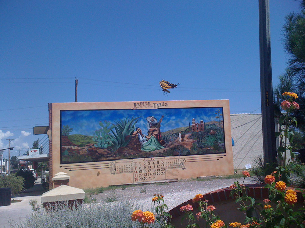 An Alpine Butterfly in Flight! | Alpine, Texas