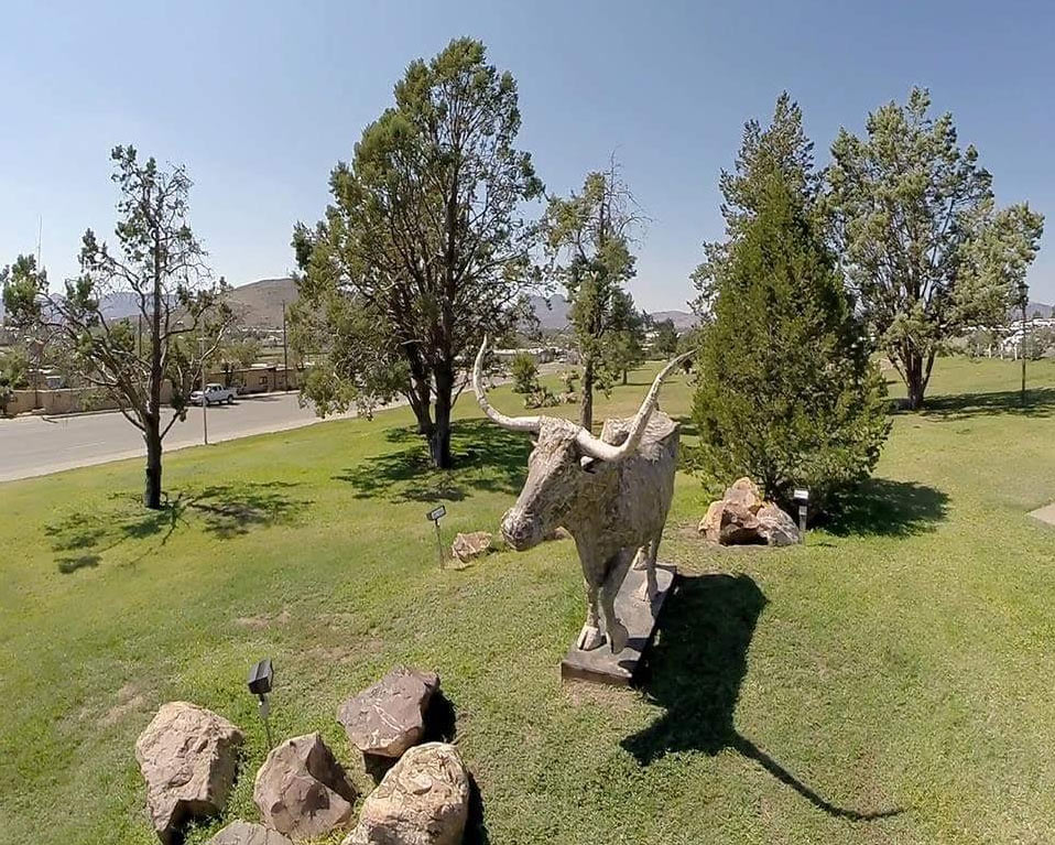 Sul Ross Steer - Alpine, TexasAlpine, Texas