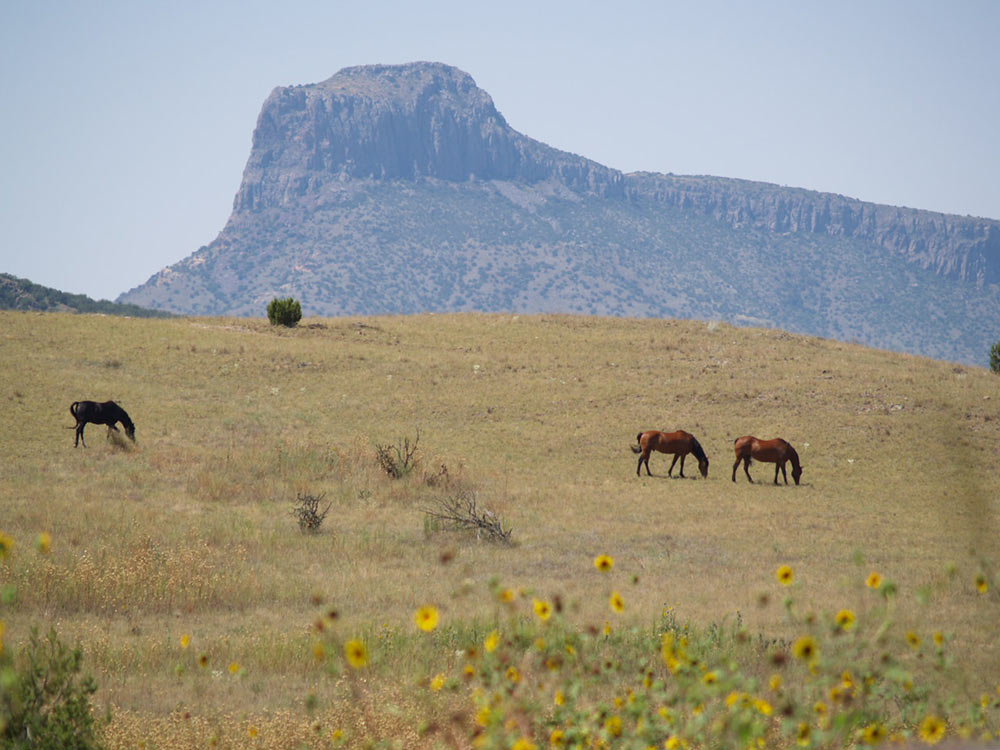 Cathedral Mountain - Alpine, TexasAlpine, Texas