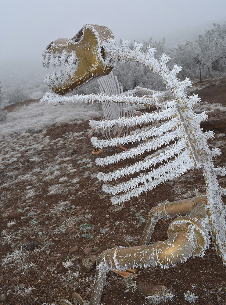 Frost on a T-Rex Sculpture - Alpine, TexasAlpine, Texas