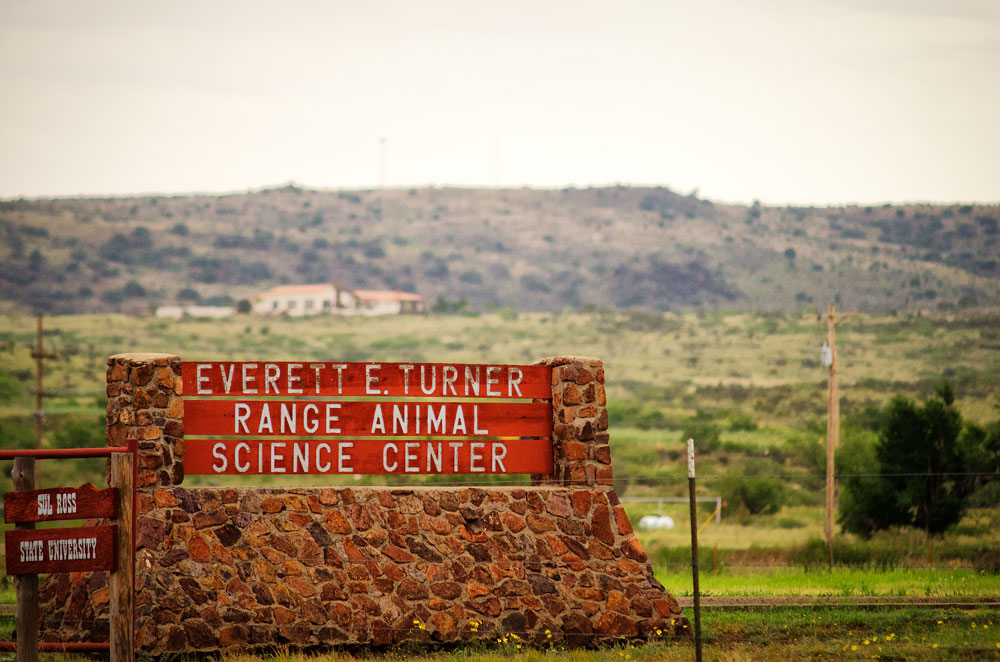 Everett E Turner Animal Science Center, Sul Ross - Alpine, TexasAlpine ...
