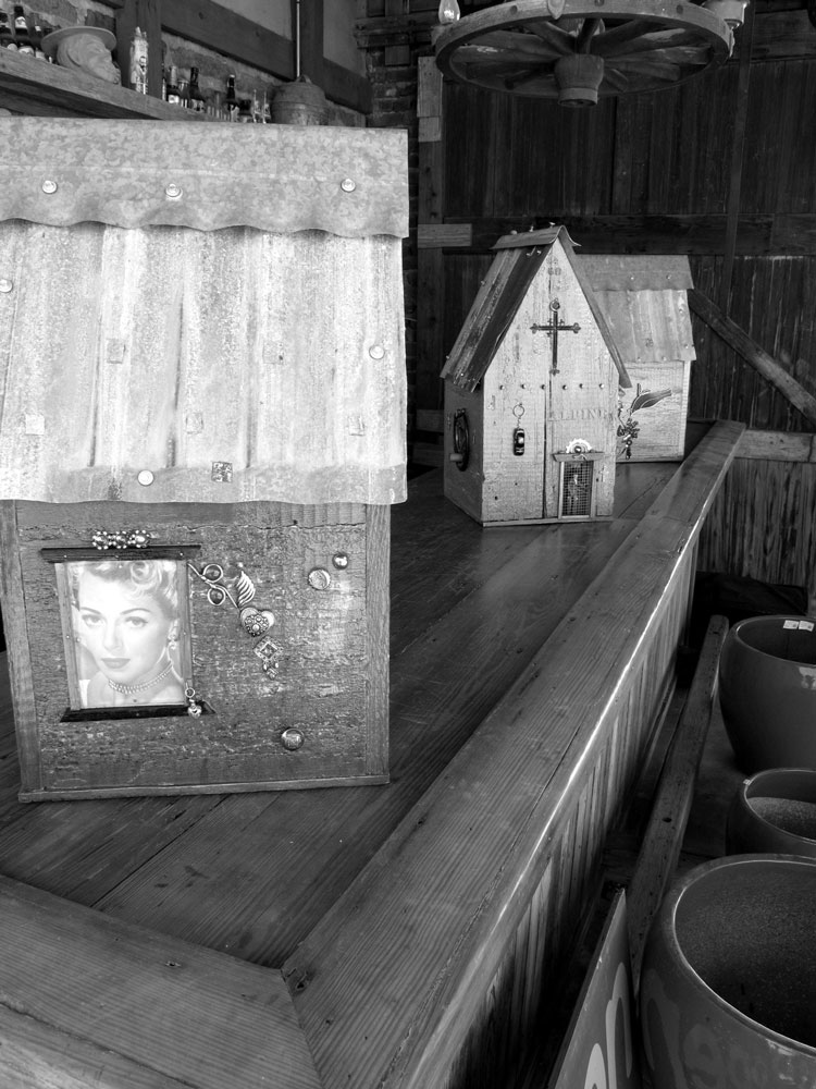 Birdy Homes - Alpine, TexasAlpine, Texas