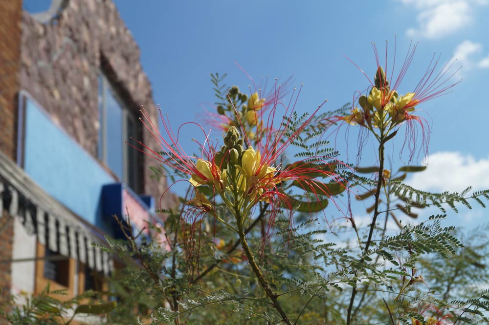 Downtown Alpine - Alpine, TexasAlpine, Texas