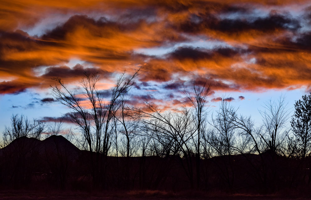 Sunset Sway | Alpine, Texas