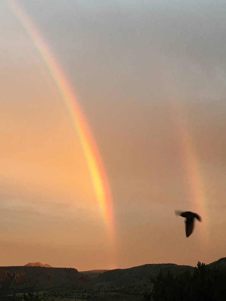 Rainbow Fly-By - Alpine, TexasAlpine, Texas