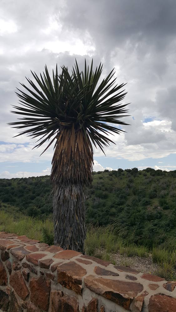 Big Hill Dagger - Alpine, TexasAlpine, Texas