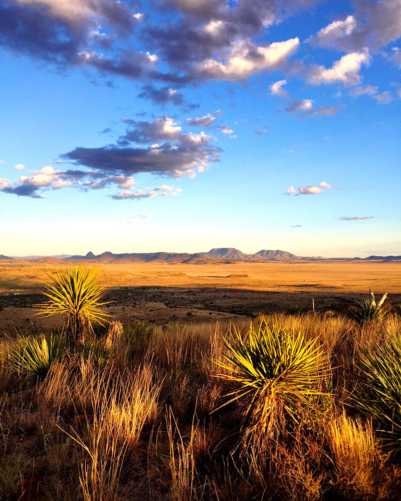 Hwy 118 at Sunset - Alpine, TexasAlpine, Texas