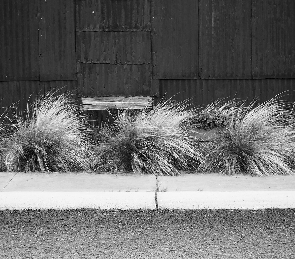 2017 Henry Charles Trost Memorial Award ($100) - Alpine, TexasAlpine, Texas