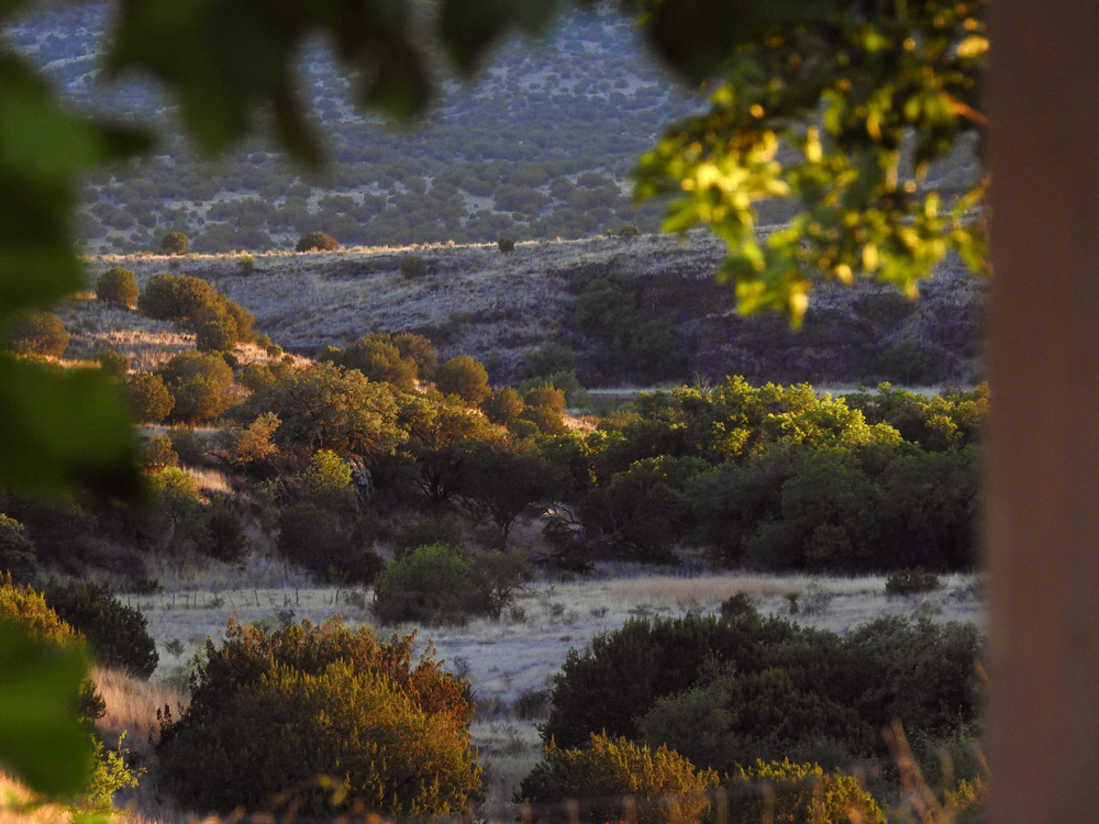 Valley Window - Alpine, TexasAlpine, Texas
