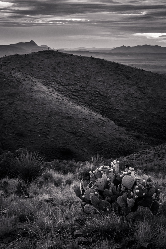 Desk Trail Looking North - Alpine, TexasAlpine, Texas