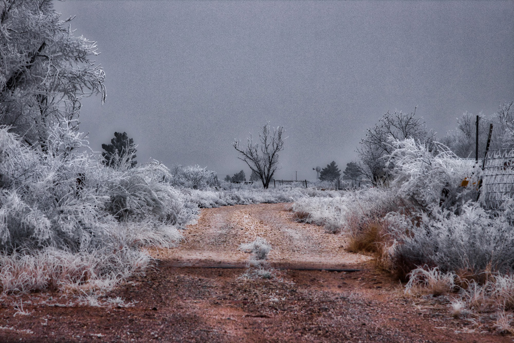 Icy Day - Alpine, TexasAlpine, Texas