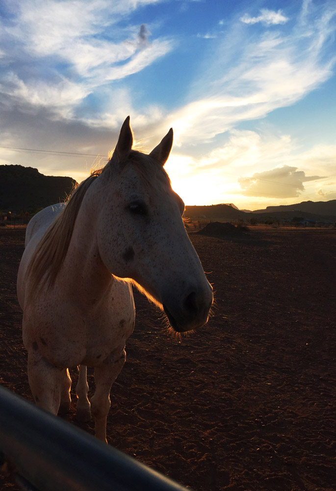 A Fearless Glow - Alpine, TexasAlpine, Texas