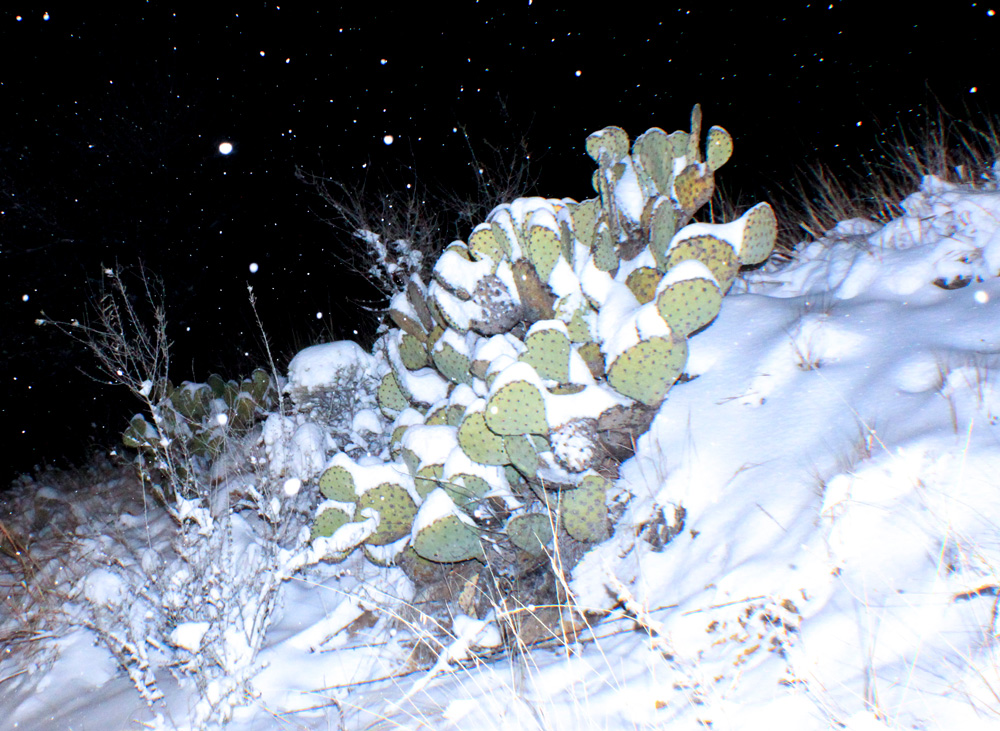 A Cold Desert Night - Alpine, TexasAlpine, Texas