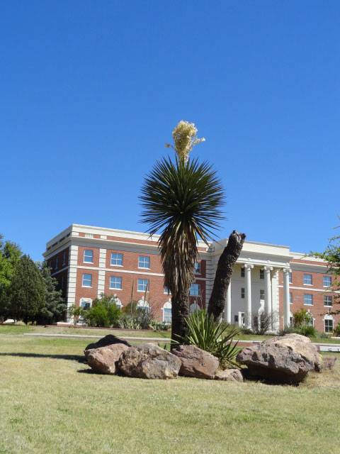 Sul Ross State University - Alpine, TexasAlpine, Texas