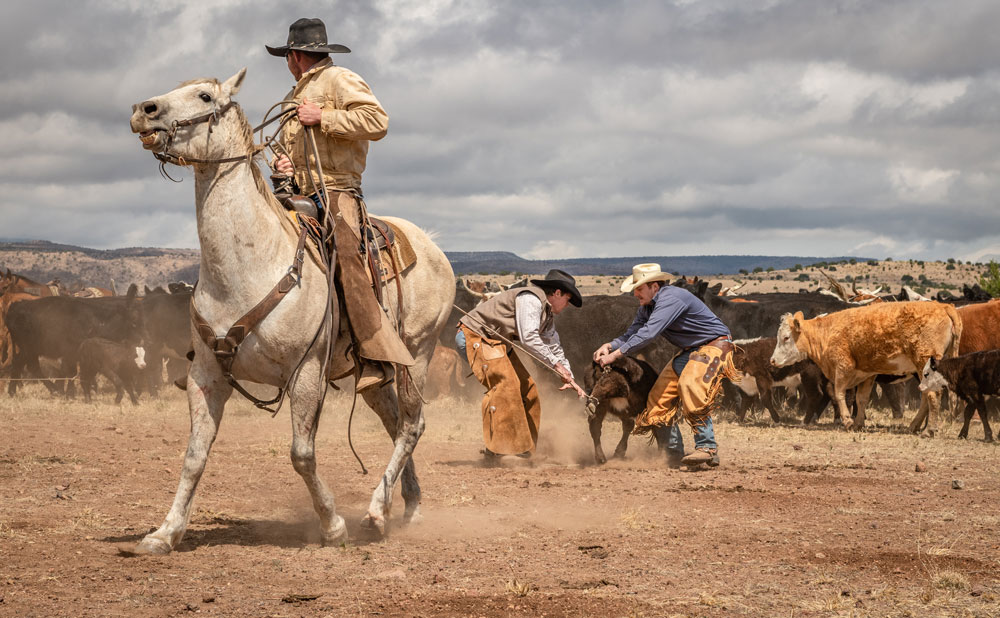 Ranch Team Work - Alpine, TexasAlpine, Texas