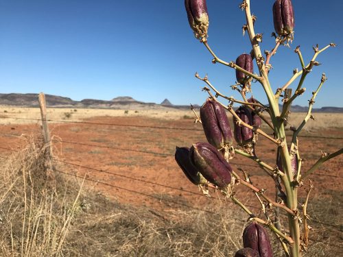 Wide Open Spaces - Alpine, TexasAlpine, Texas