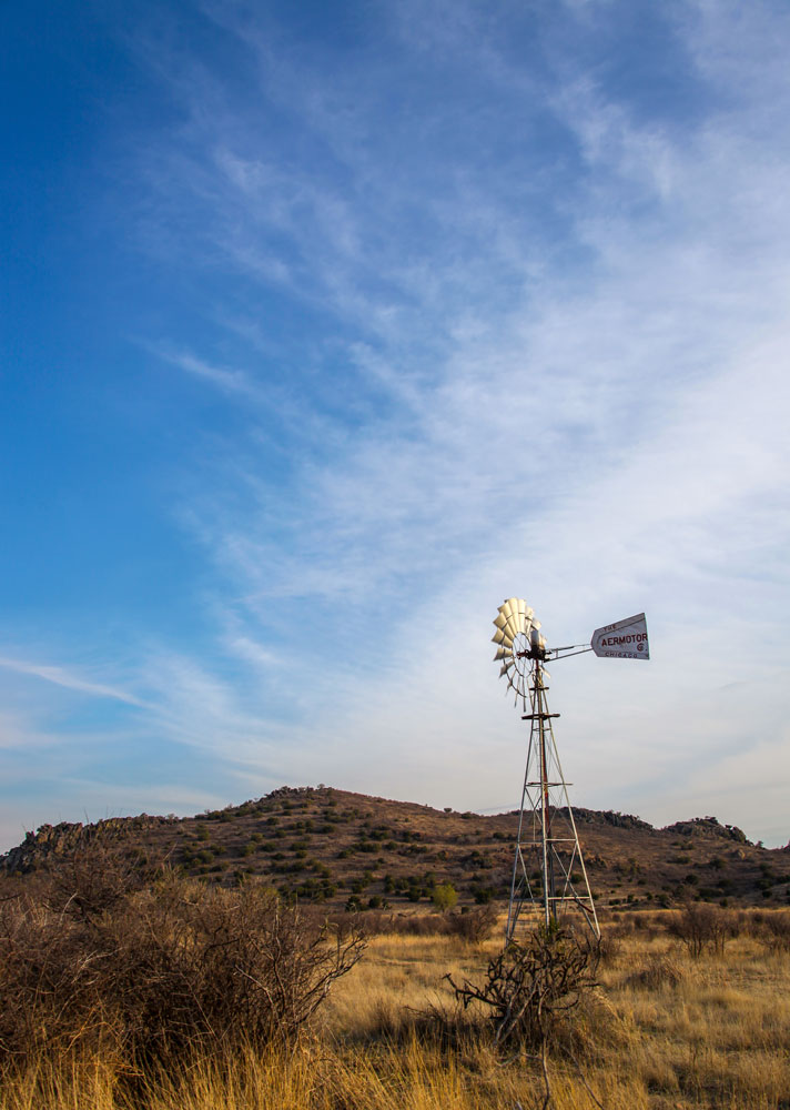 Standing Tall - Alpine, TexasAlpine, Texas