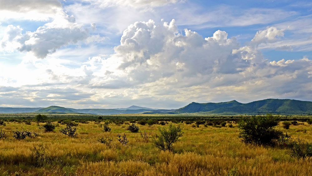 My Alpine - Alpine, TexasAlpine, Texas
