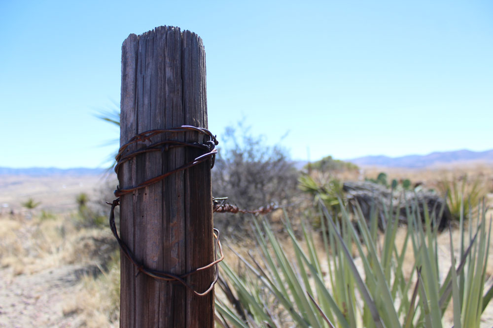 Barbed Wire Line - Alpine, TexasAlpine, Texas