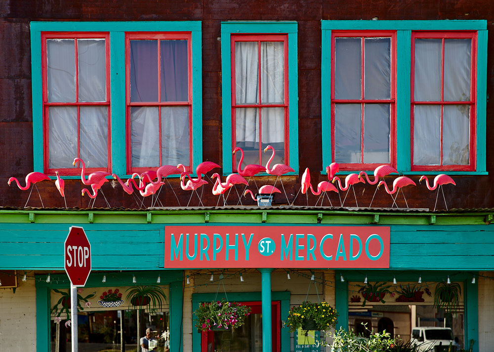 Market Flamingos - Alpine, TexasAlpine, Texas