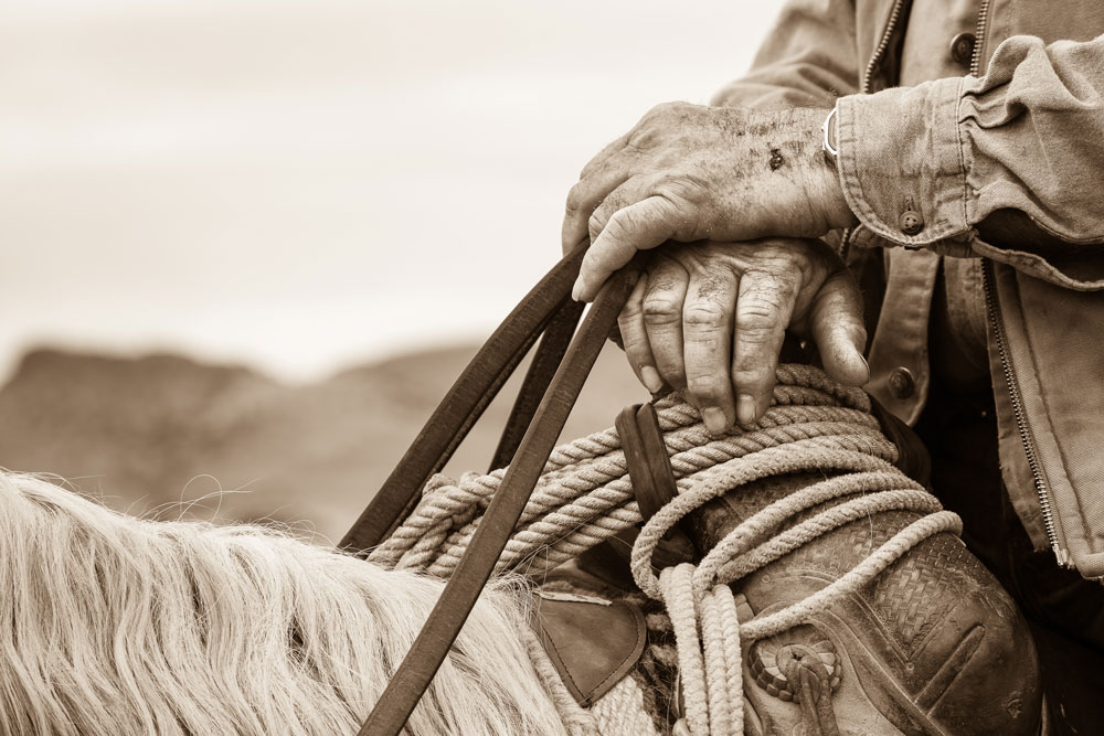 Rugged Hands | Alpine, Texas