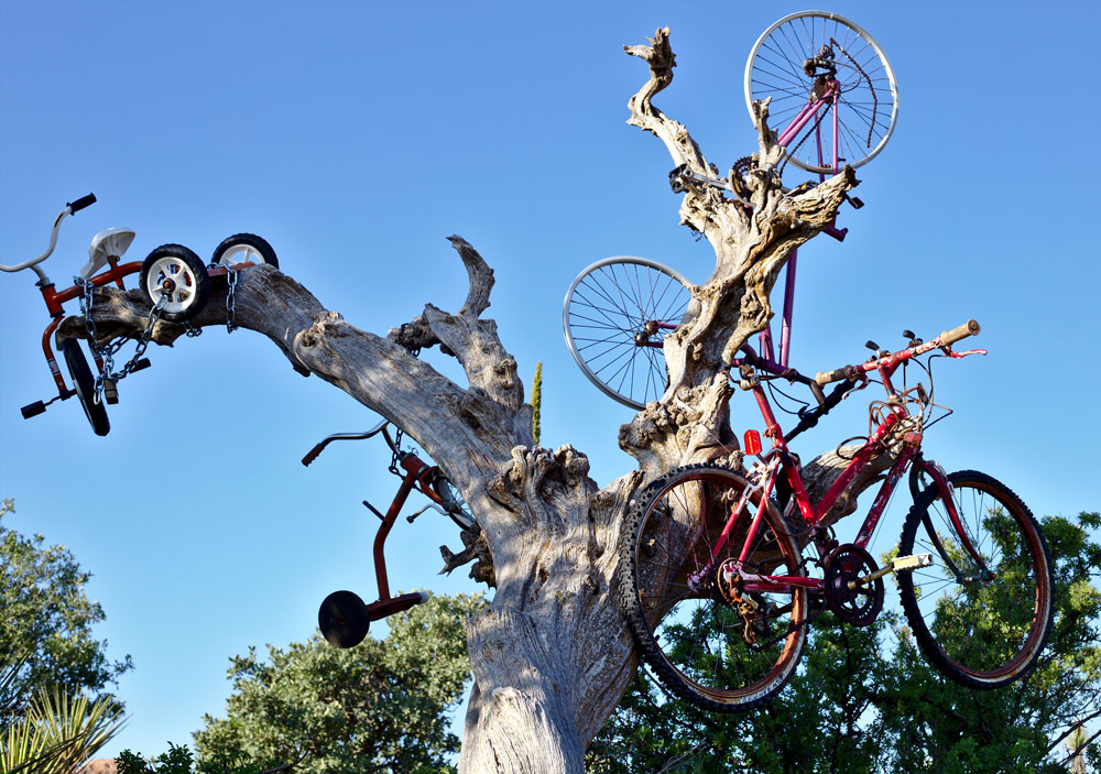 Treed Bicycles | Alpine, Texas