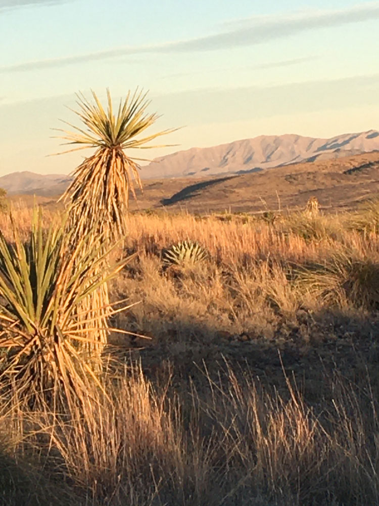 Hike above Alpine | Alpine, Texas