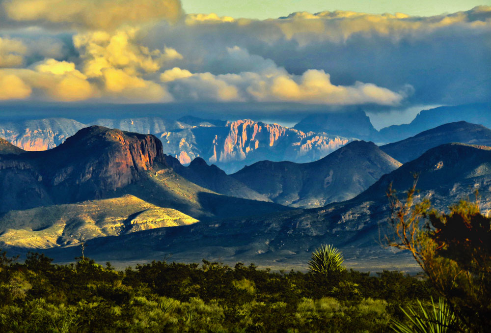 2020 Henry Charles Trost Memorial Award ($250) - Alpine, TexasAlpine, Texas