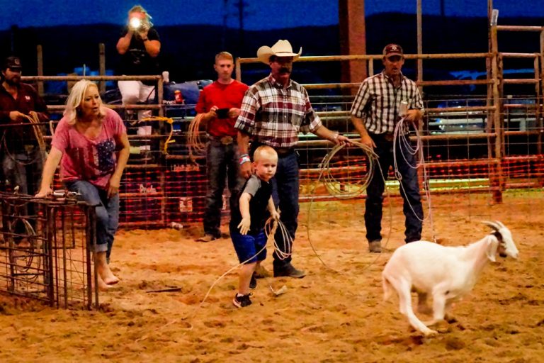 Little Goat Roper - Alpine, TexasAlpine, Texas