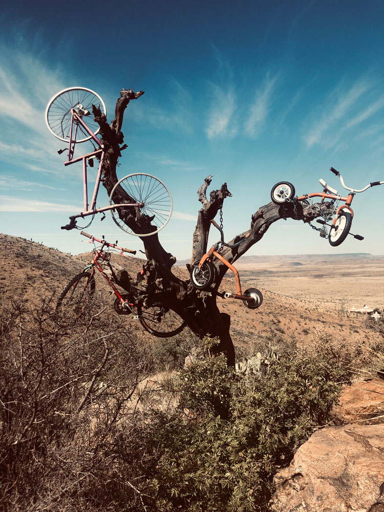 The Tree of Bikes | Alpine, Texas
