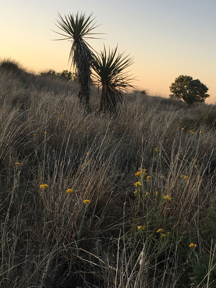 Hancock Hill Sunset - Alpine, TexasAlpine, Texas