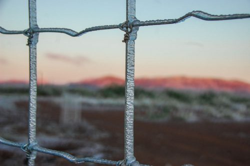 Alpine Ice - Alpine, TexasAlpine, Texas