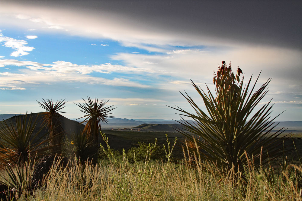Over Yonder | Alpine, Texas