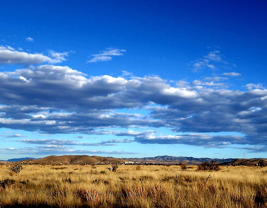 Alpine from the North - Alpine, TexasAlpine, Texas
