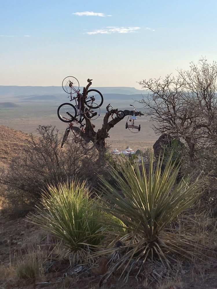 Bikes - Alpine, TexasAlpine, Texas