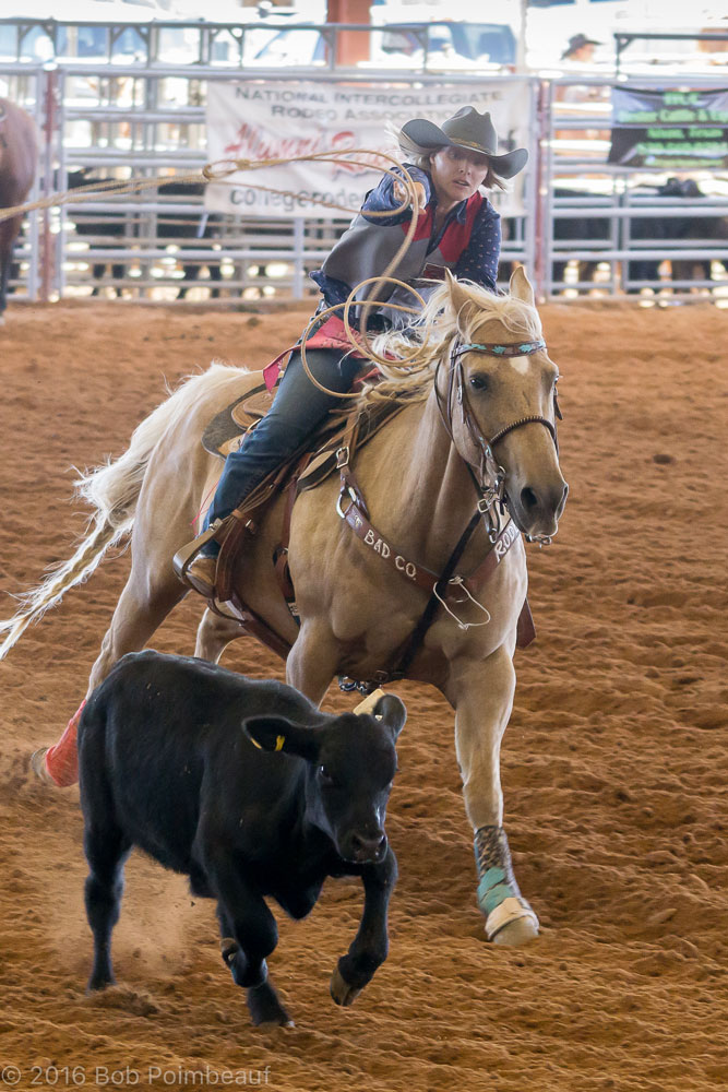Bad Co. - Alpine, TexasAlpine, Texas