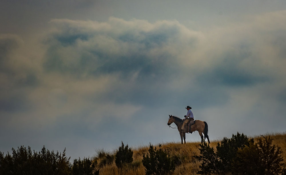 Range Rider - Alpine, TexasAlpine, Texas