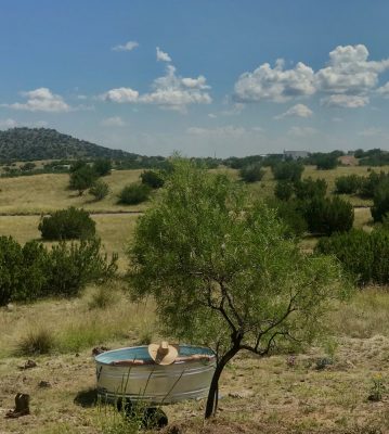 Trough Days in Alpine | Alpine, Texas