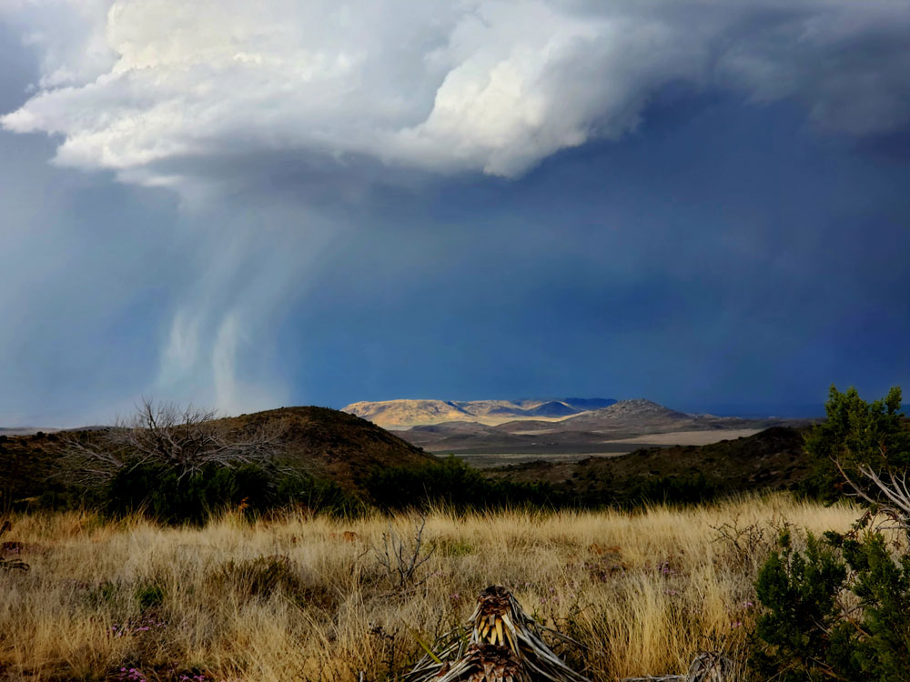 Blue Misty Morning - Alpine, TexasAlpine, Texas