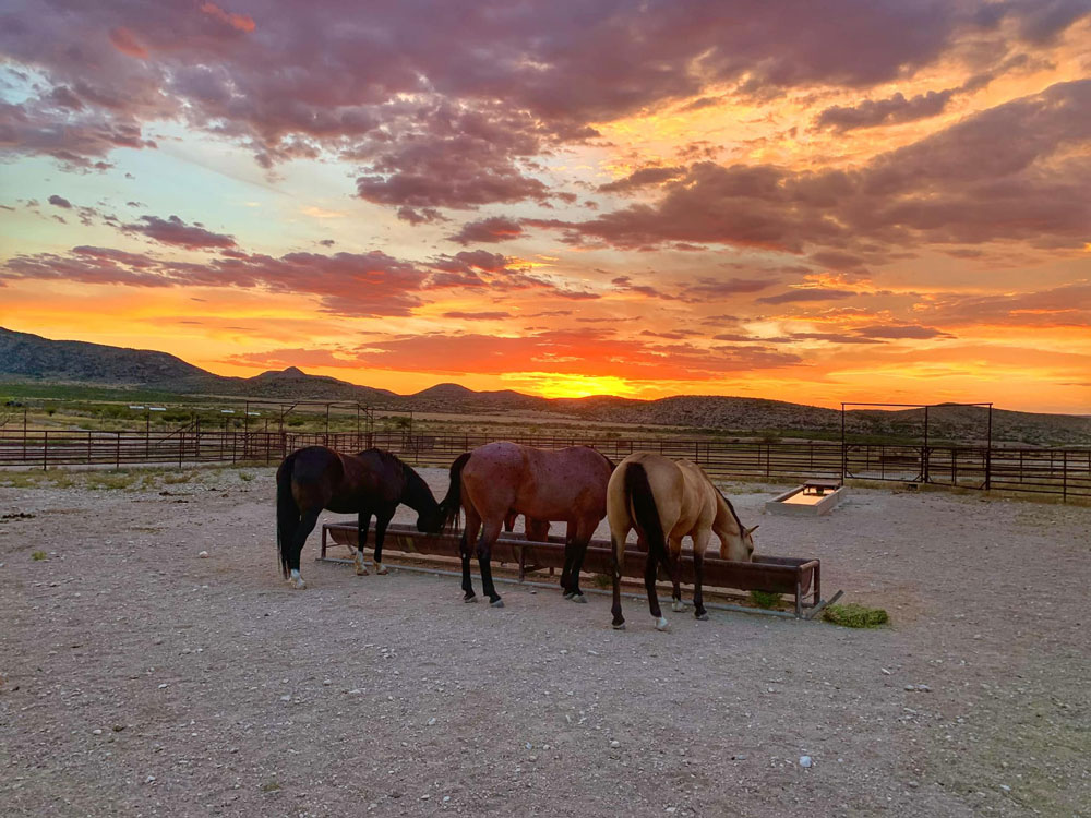 Supper Time | Alpine, Texas