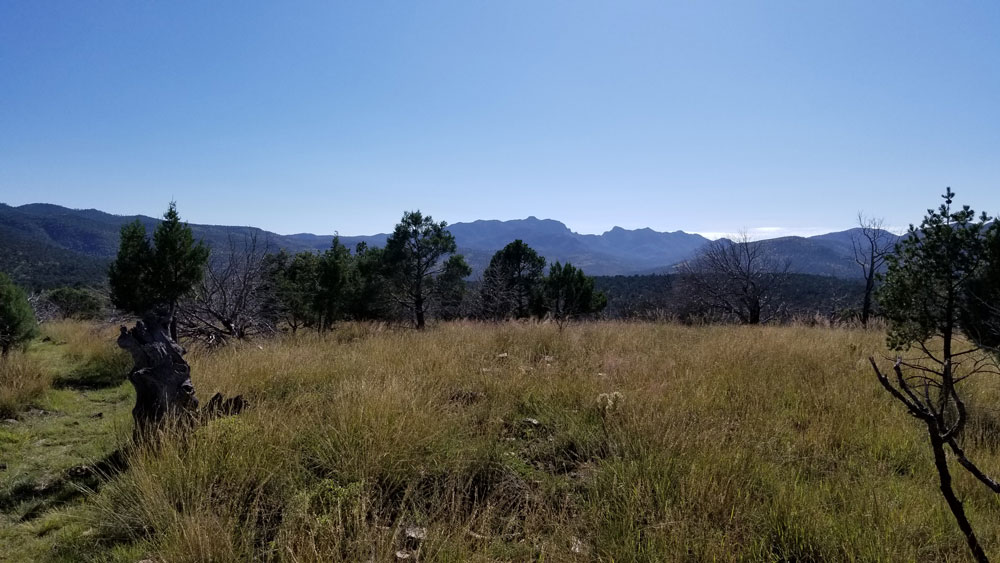 Mount Livermore - Alpine, TexasAlpine, Texas